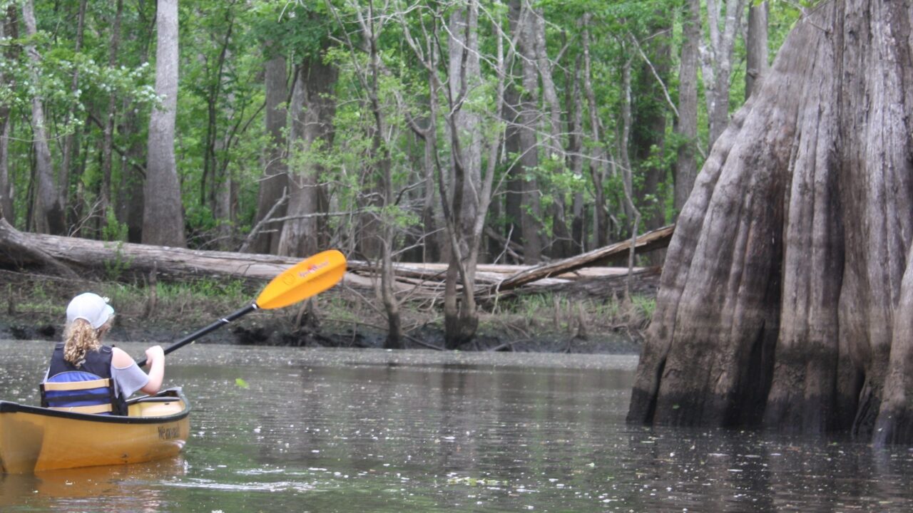 An Incomplete History of Coastal Expeditions | Coastal Expeditions Blog