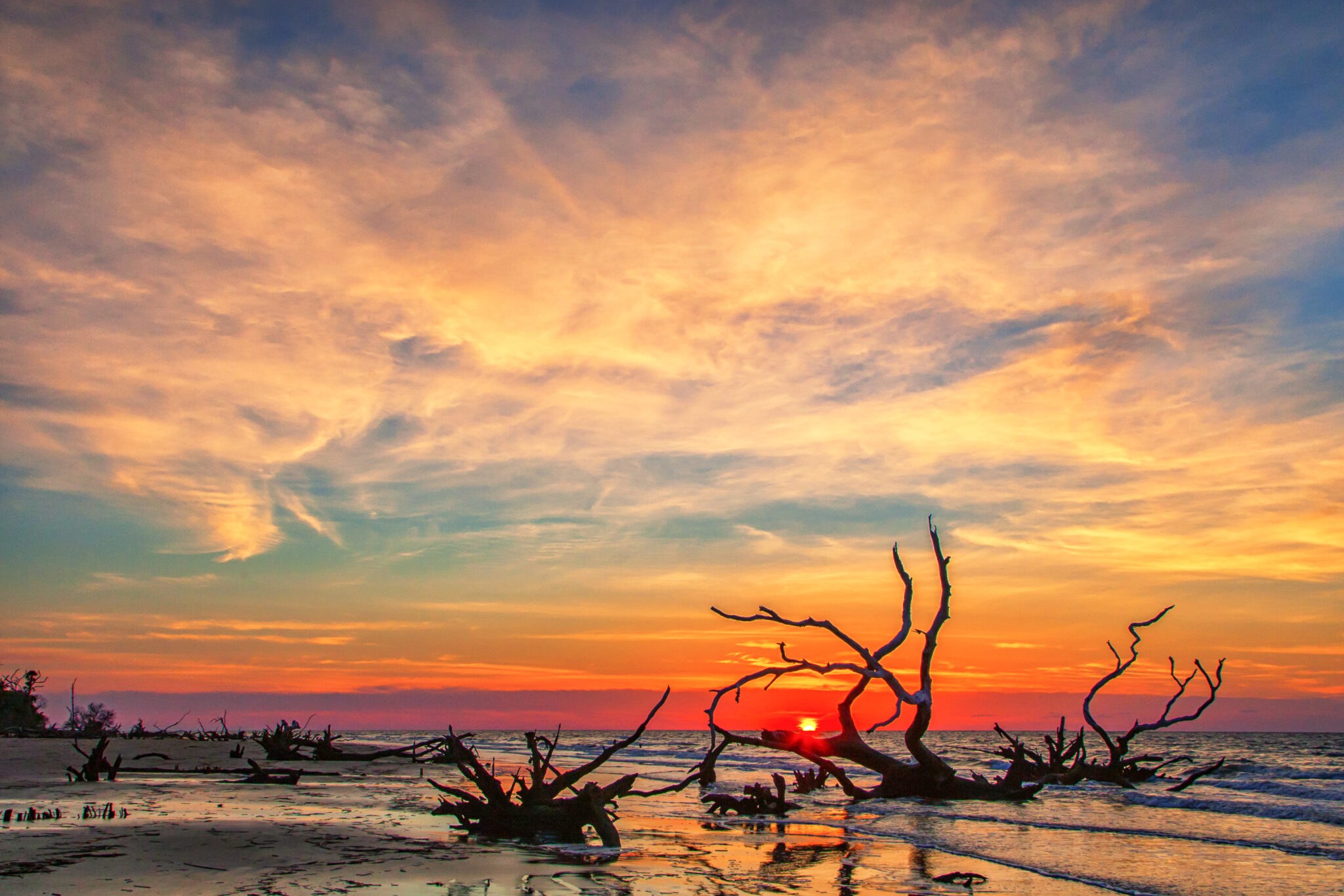 Discover Bulls Island: Tours with Coastal Expeditions | Coastal ...