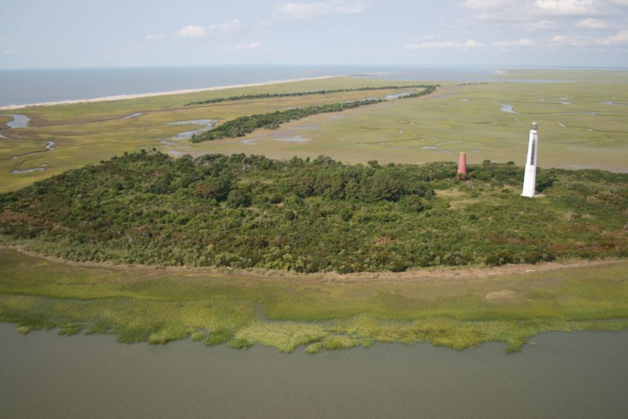 Bulls Island & Cape Romain NWR | Coastal Expeditions