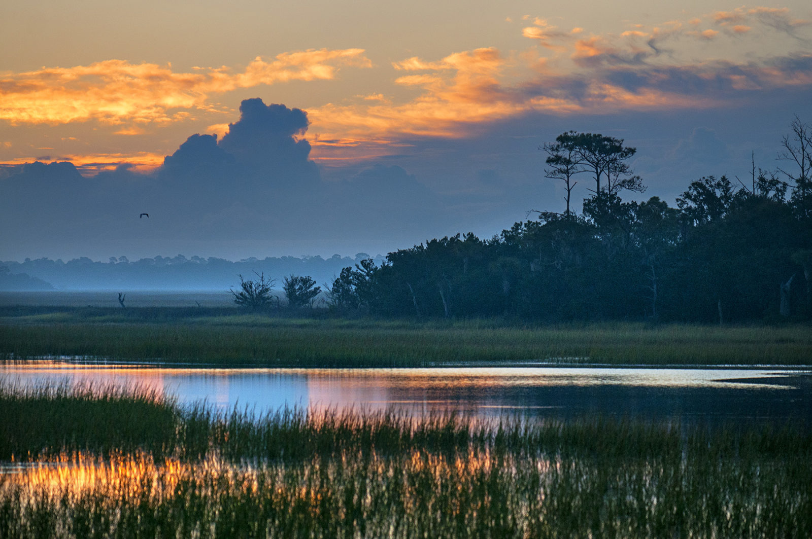 Beaufort Sunset Cruise | Coastal Expeditions
