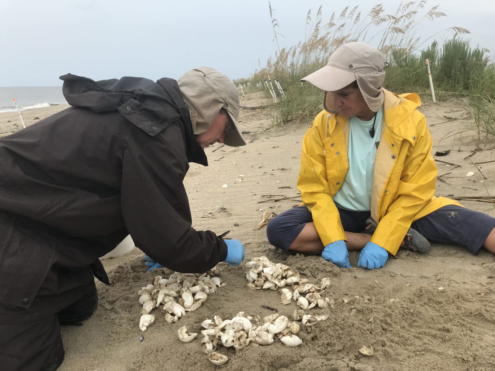 Volunteer Meeting for Sea Turtle Nesting Program in Cape Romain