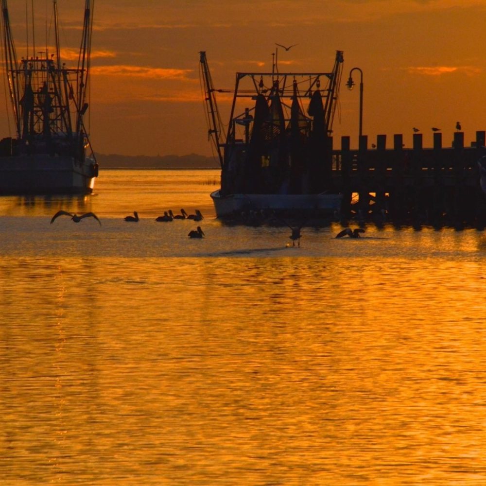 Where To Eat On Shem Creek in Mount Pleasant | Coastal Expeditions Blog