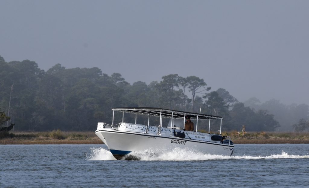 St. Helena Island | Coastal Expeditions