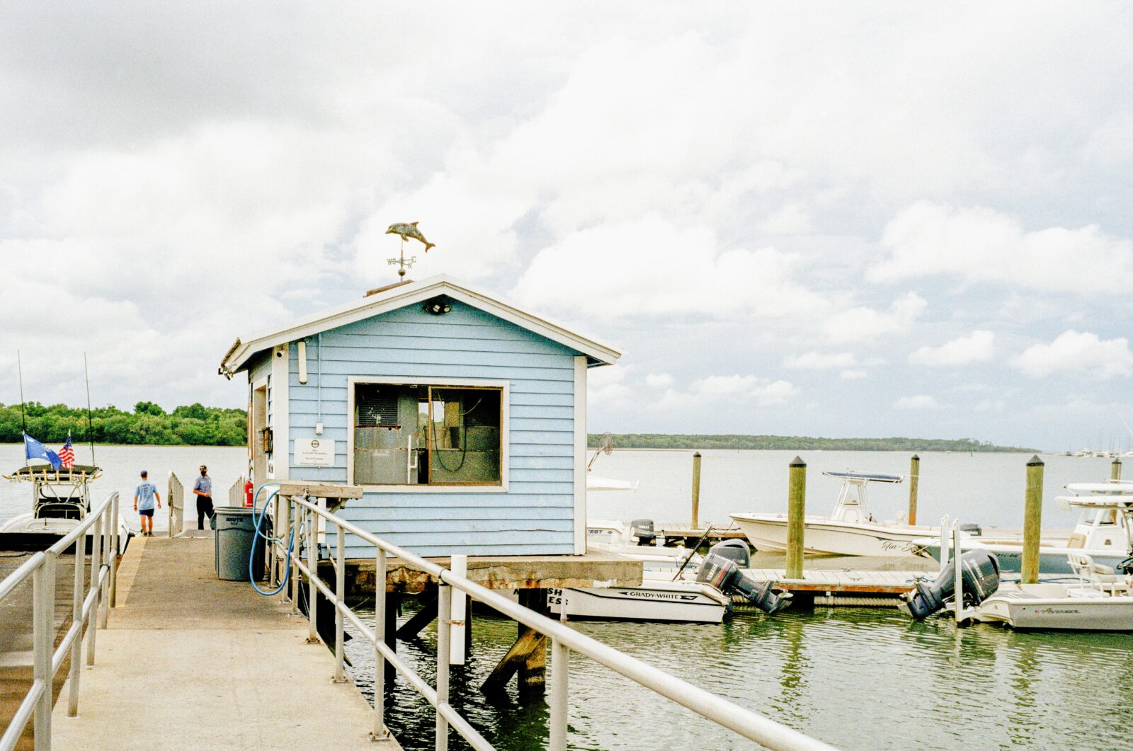 The Natural History of the Lowcountry | Coastal Expeditions Blog