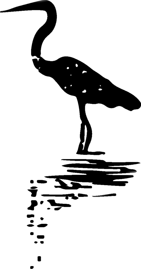 About Coastal Expeditions & Our Team