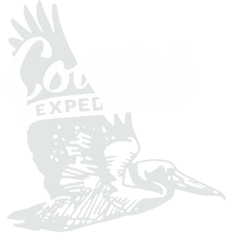 Dominick House Expedition | Coastal Expeditions