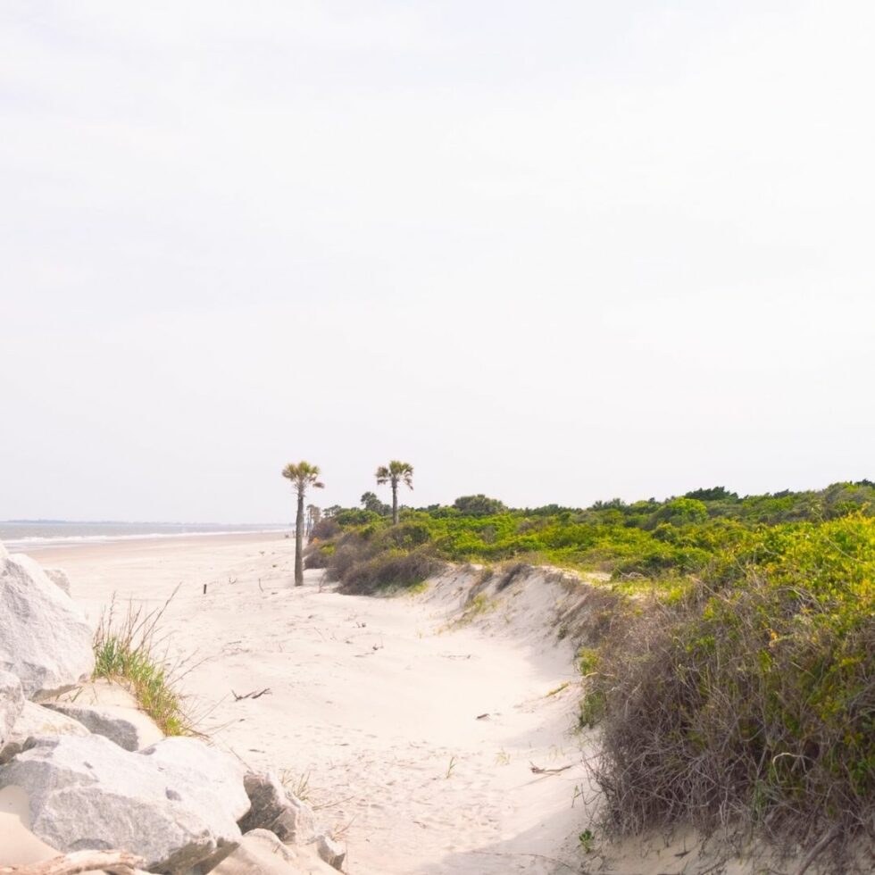 Morris Island Beach Drop | Coastal Expeditions