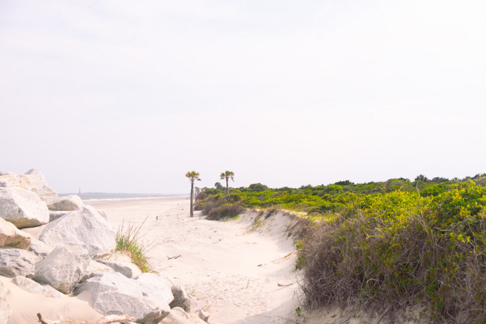 Morris Island Beach Drop | Coastal Expeditions