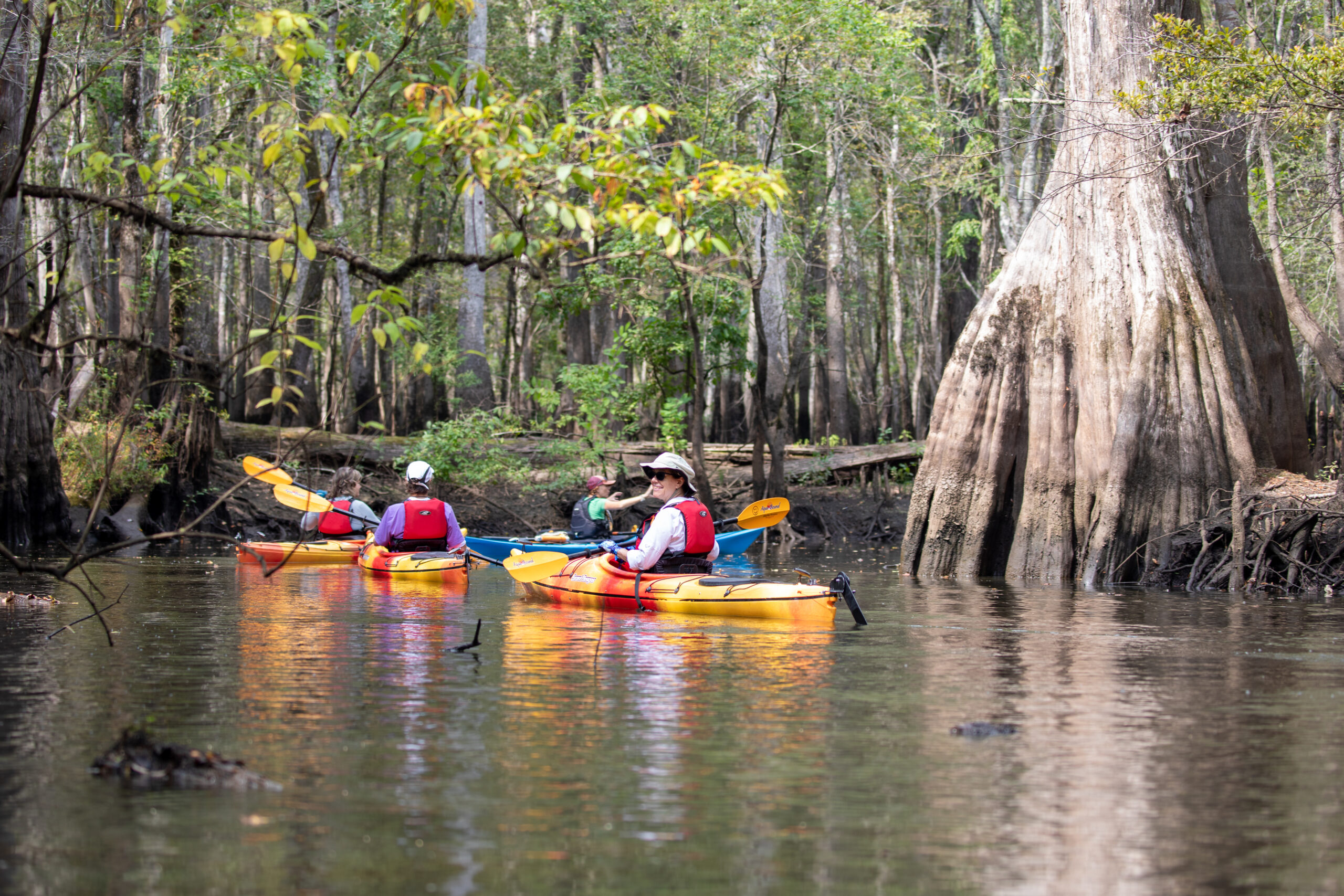 Blackwater Tours | Coastal Expeditions