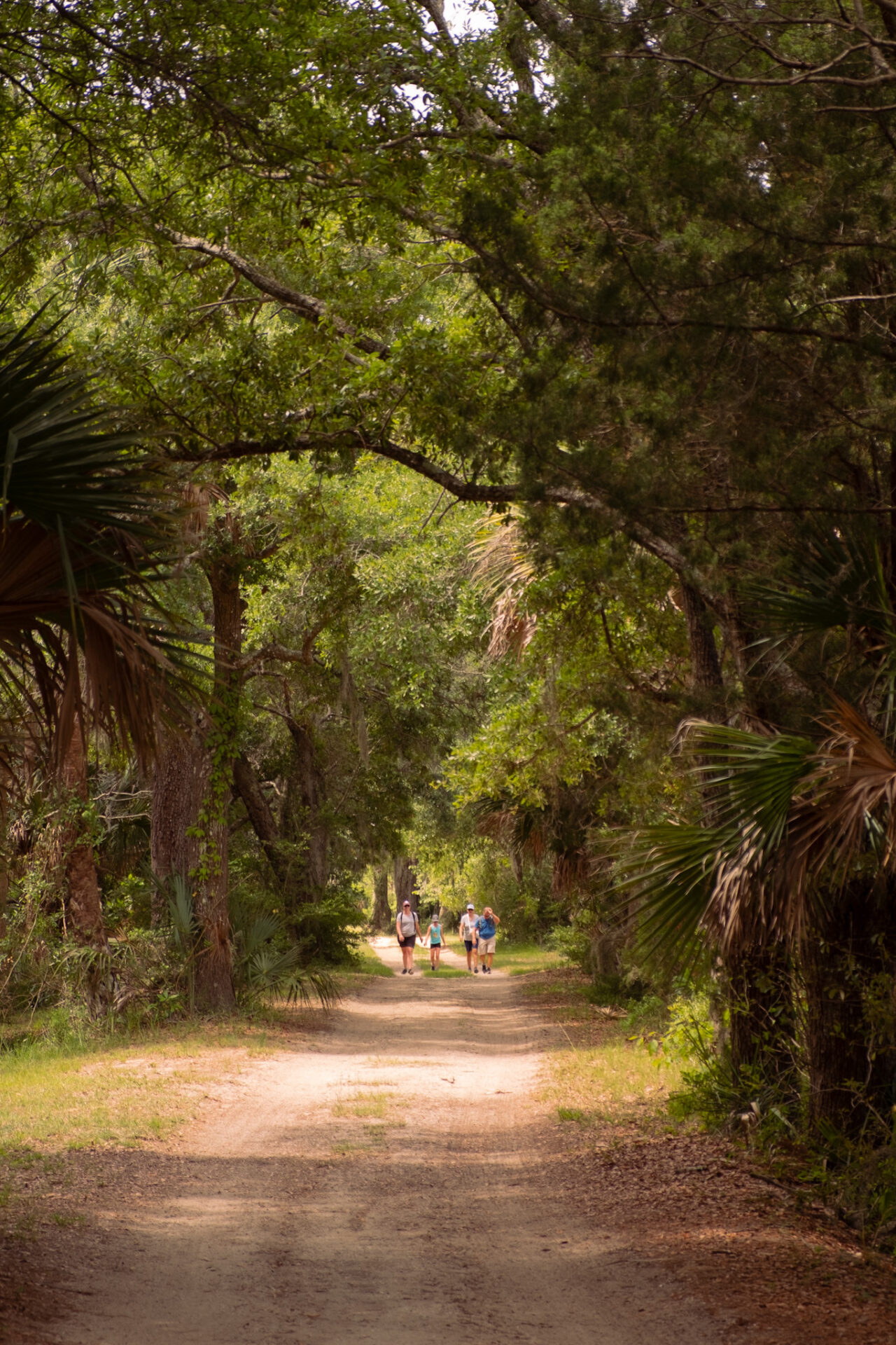 Bulls Island Ferry- Explore a National Wildlife Refuge! | Coastal ...