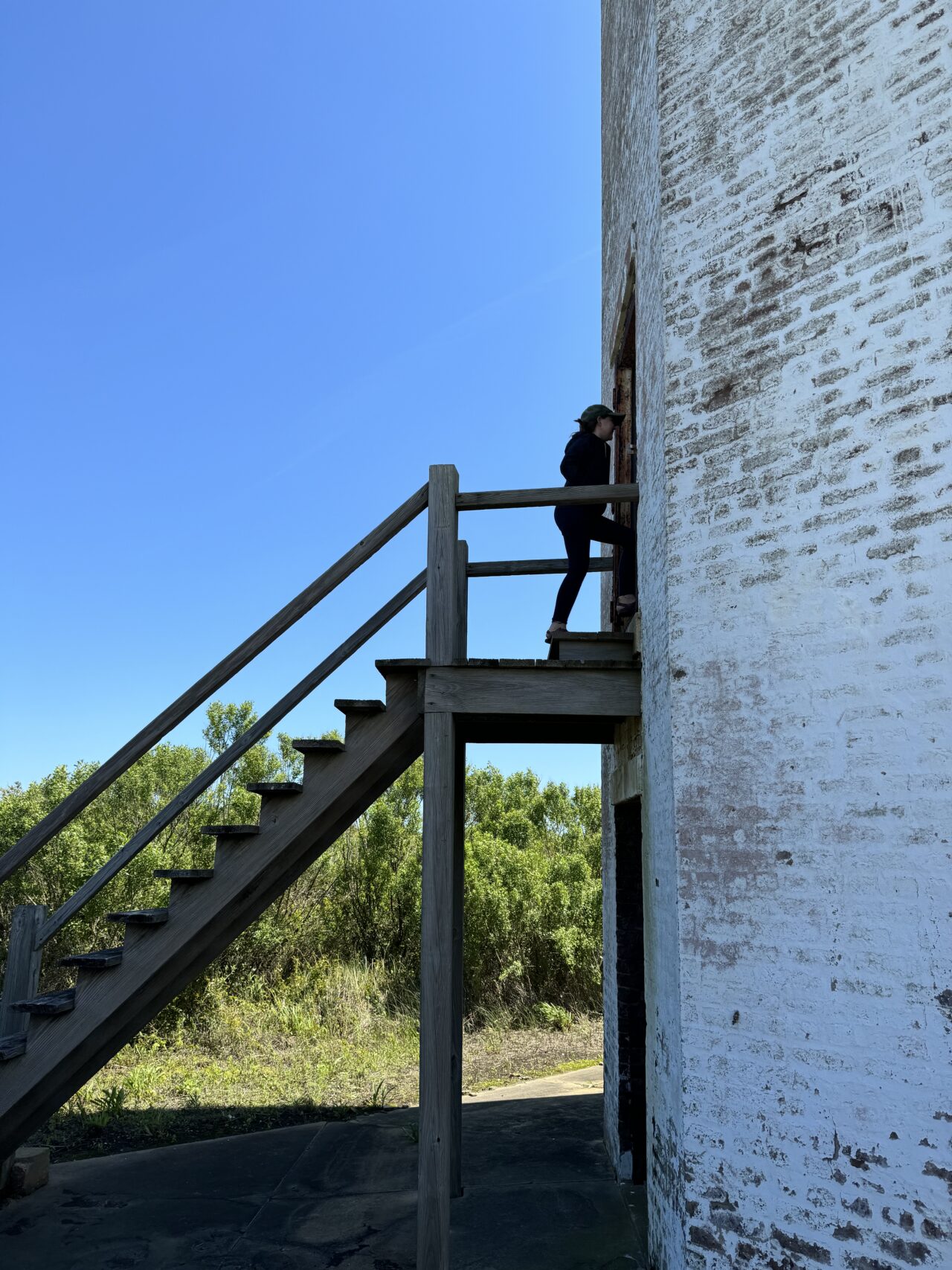 Bulls Island & Cape Romain NWR | Coastal Expeditions