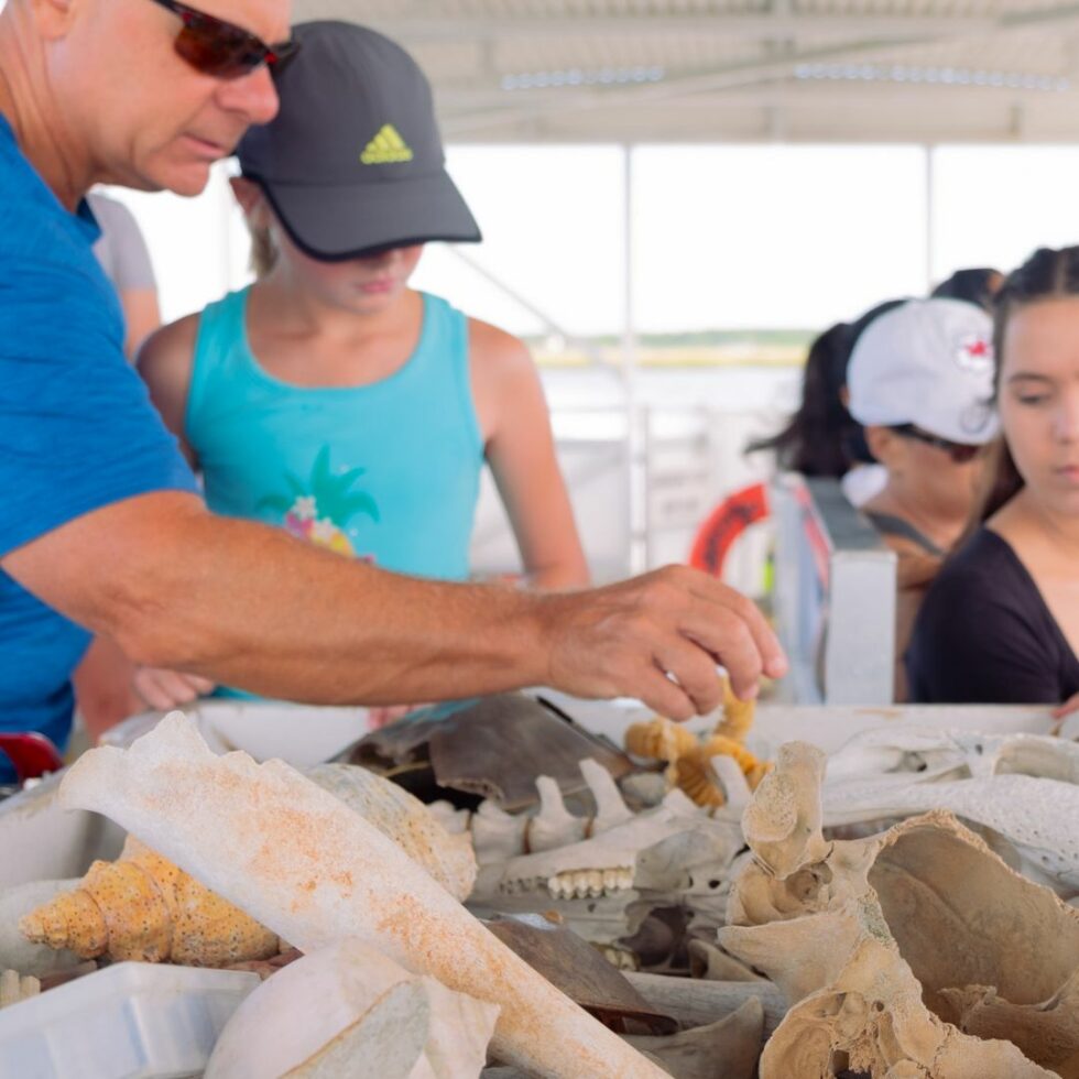 Bulls Island & Cape Romain NWR | Coastal Expeditions