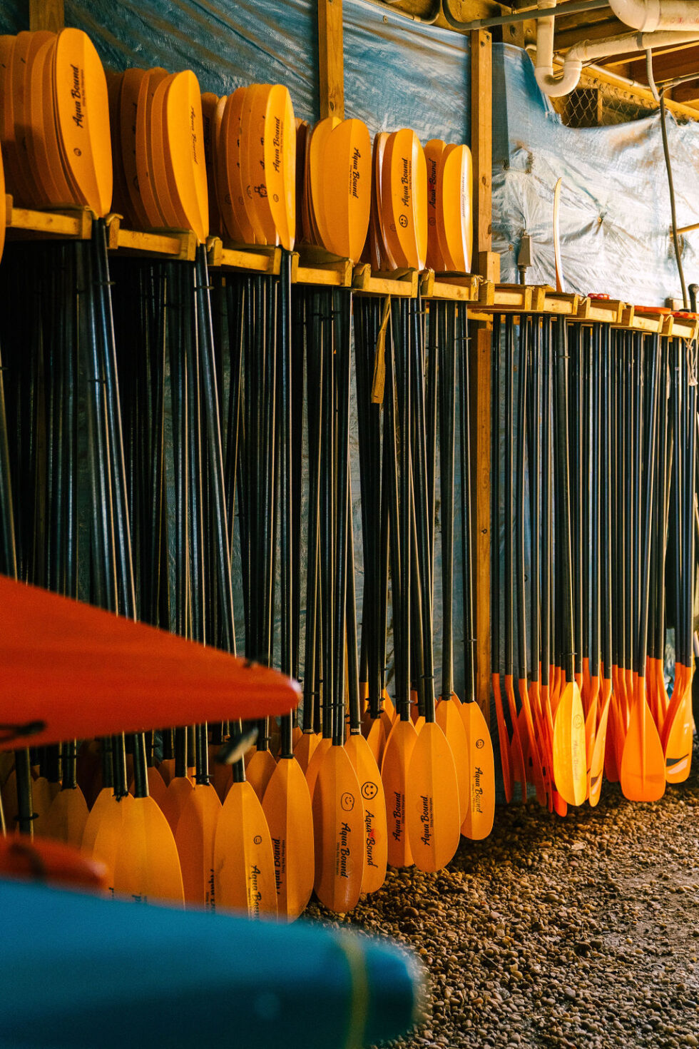 About Coastal Expeditions & Our Team