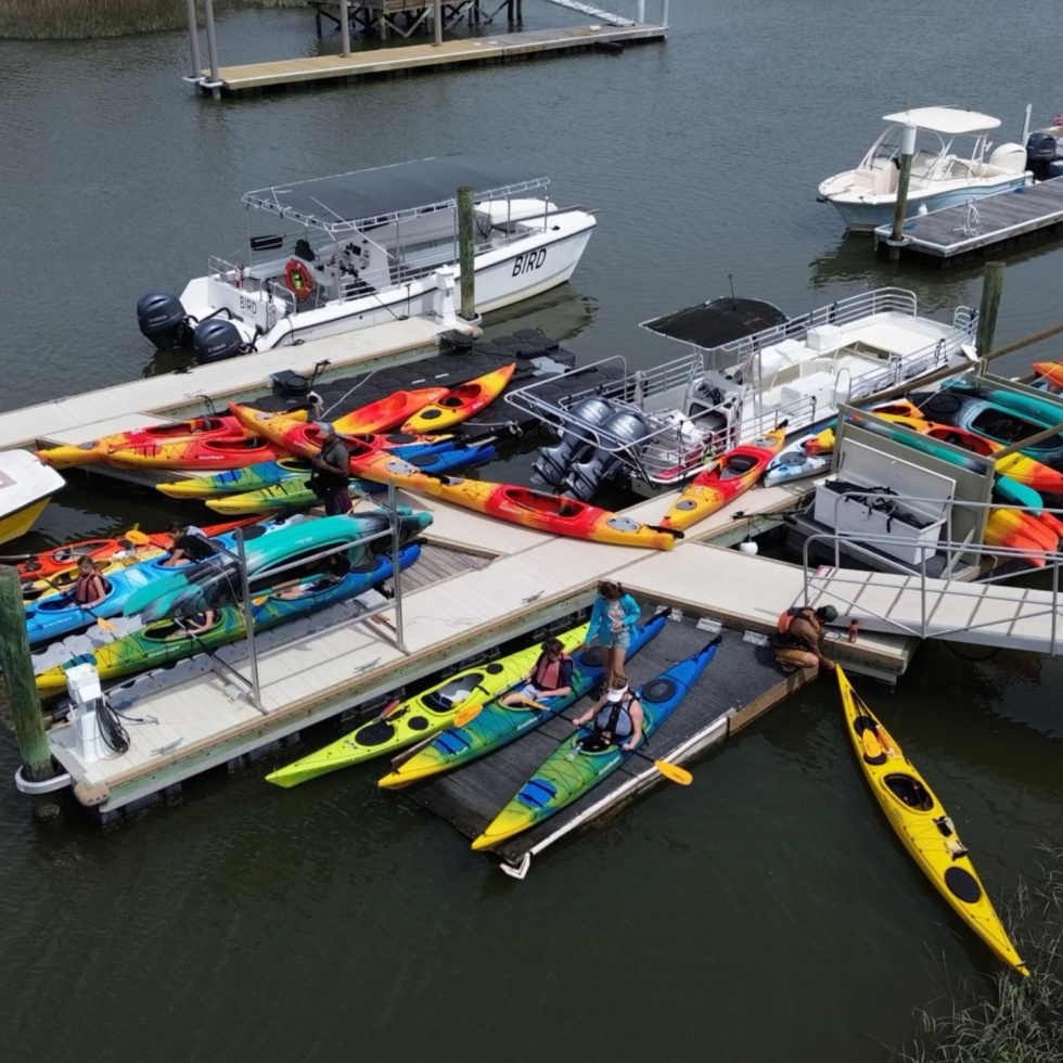Bird Sanctuary Kayak Safari | Shem Creek 3-hr | Coastal Expeditions