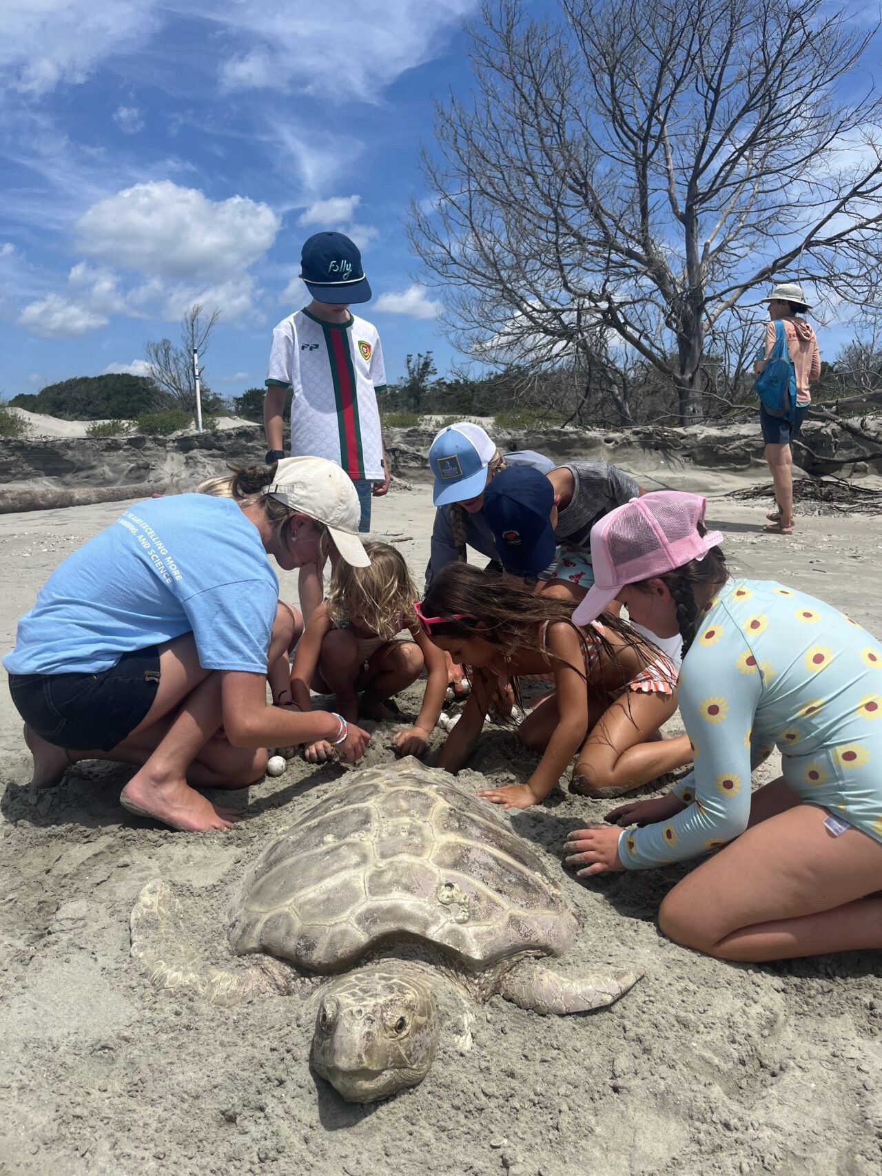 Turtle Patrol Update: Week 12 | Nest Inventories & Fundraisers